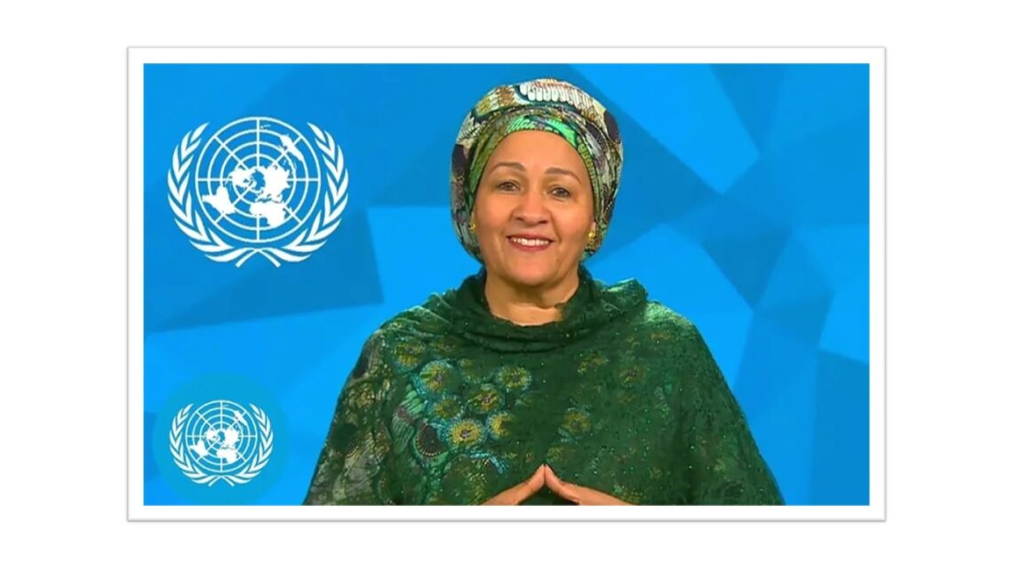 2025 SEforAll Global Forum | Sustainable Energy | United Nations - TISANDE